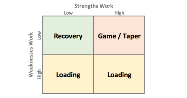 Physical Preparation for Team Sports: Weekly Plans - Part 2 - Complementary Training