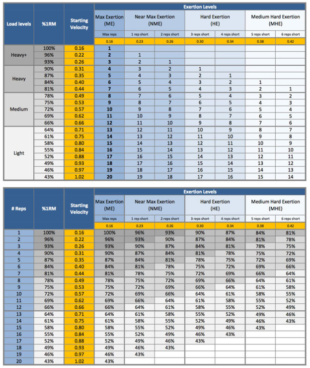 How to Create Individualized Exercise Profile in Strength Training ...