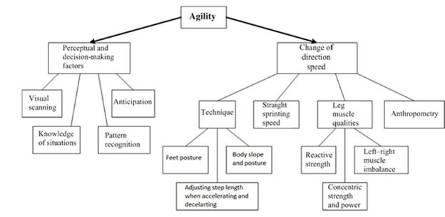Testing and Training Agility in Sports - Part 1 - Complementary Training