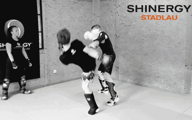 An Integrated Approach to Training Kickboxers - Part 1: Introduction ...